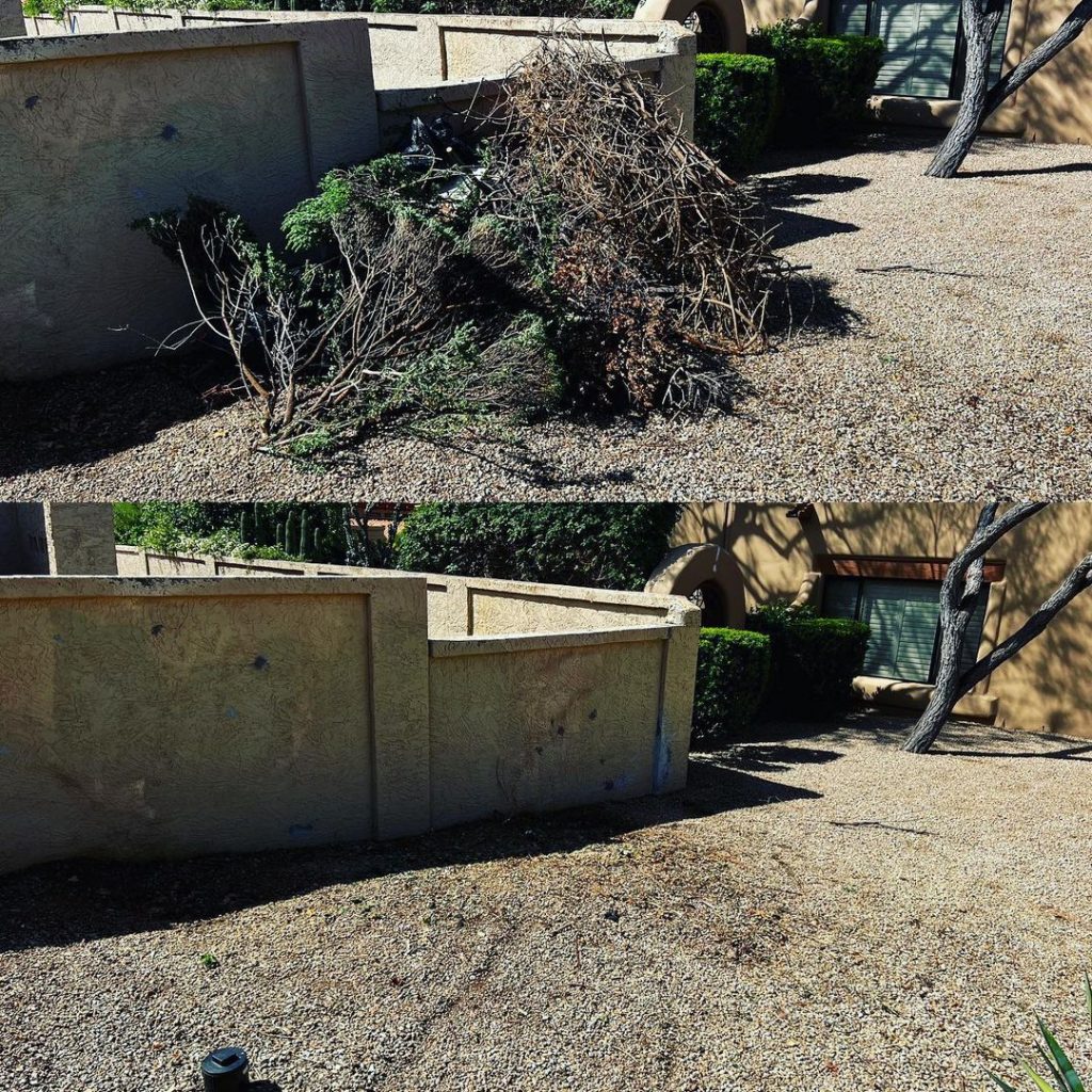 Yard Waste Removal Phoenix and Maricopa area - Junk removal company